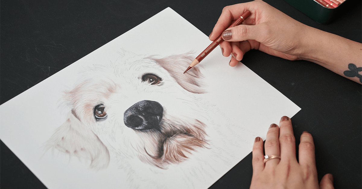 Curso online - Retratos de Mascotas en Lápices de Colores (Camila Correa Castro) | Domestika