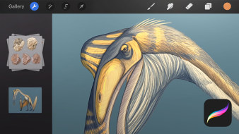 Introduction to Procreate (Román García Mora). Online Course | Domestika