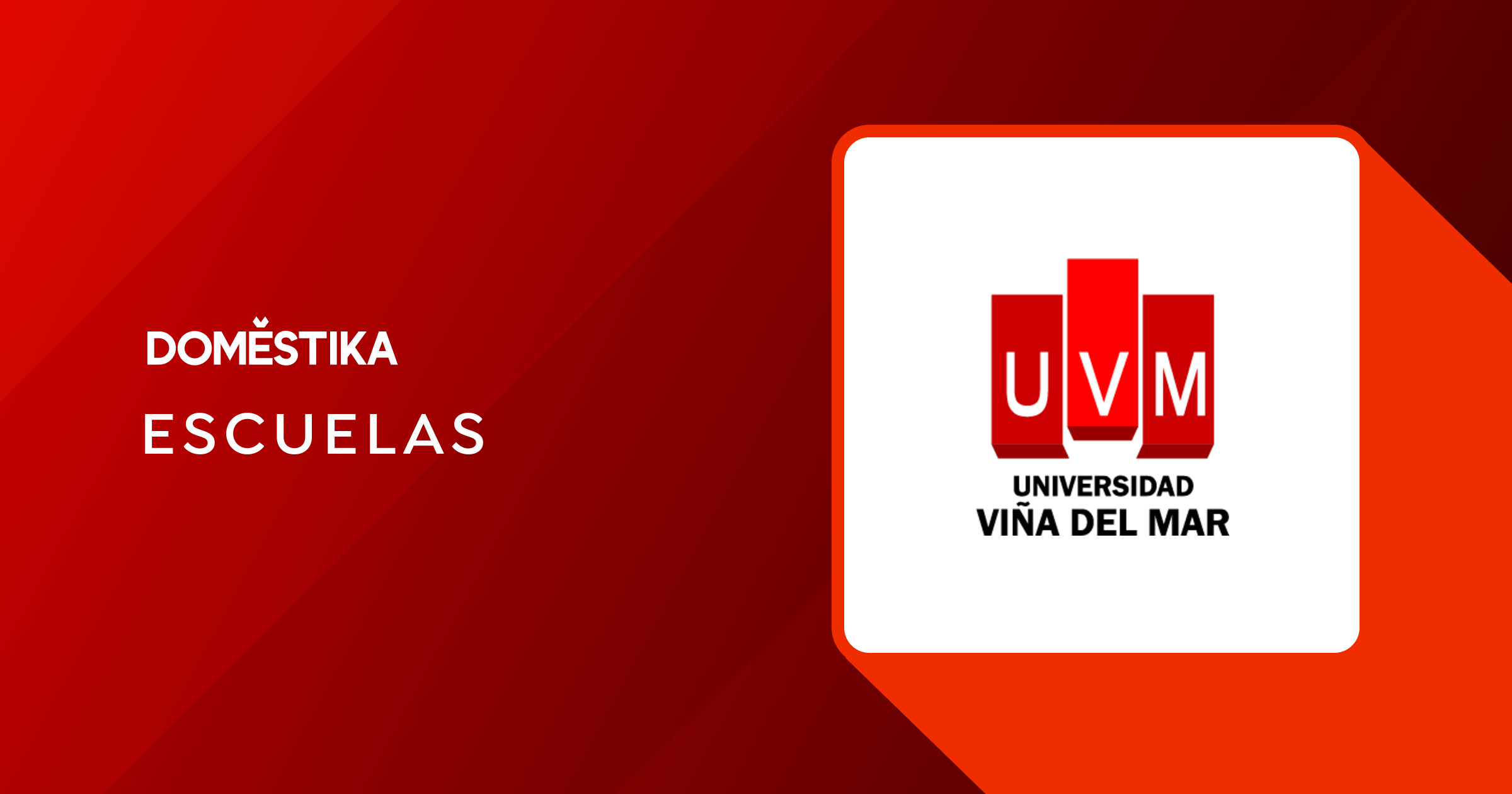Universidad Viña del Mar | Domestika